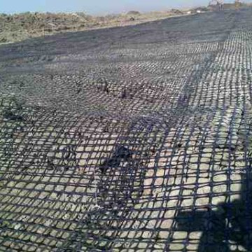 What is geogrid mesh?